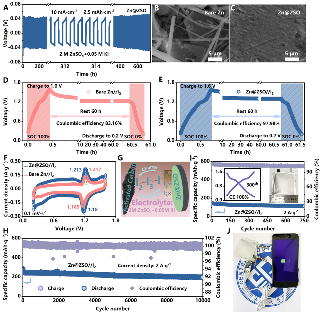 原位构筑无序界面相用于高性能锌离子和锌碘电池—论文—科学网