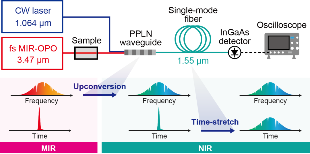 UC-TSIR上转换时间拉伸红外光谱技术—论文—科学网