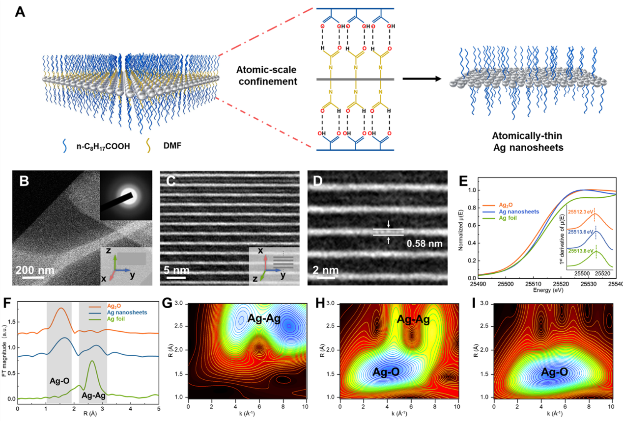 原子薄Ag纳米片助力BPF的单分子SERS检测—论文—科学网